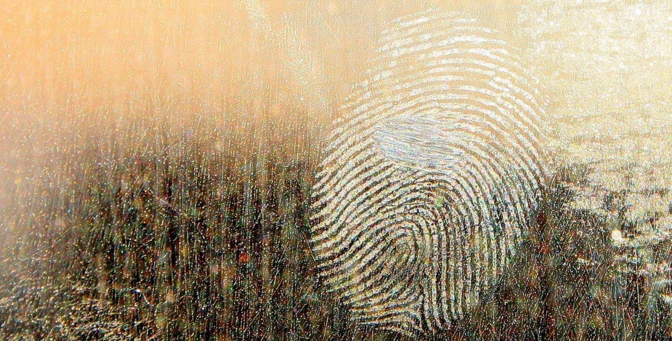 Wat bepaalt je identiteit? - Psychologie Magazine