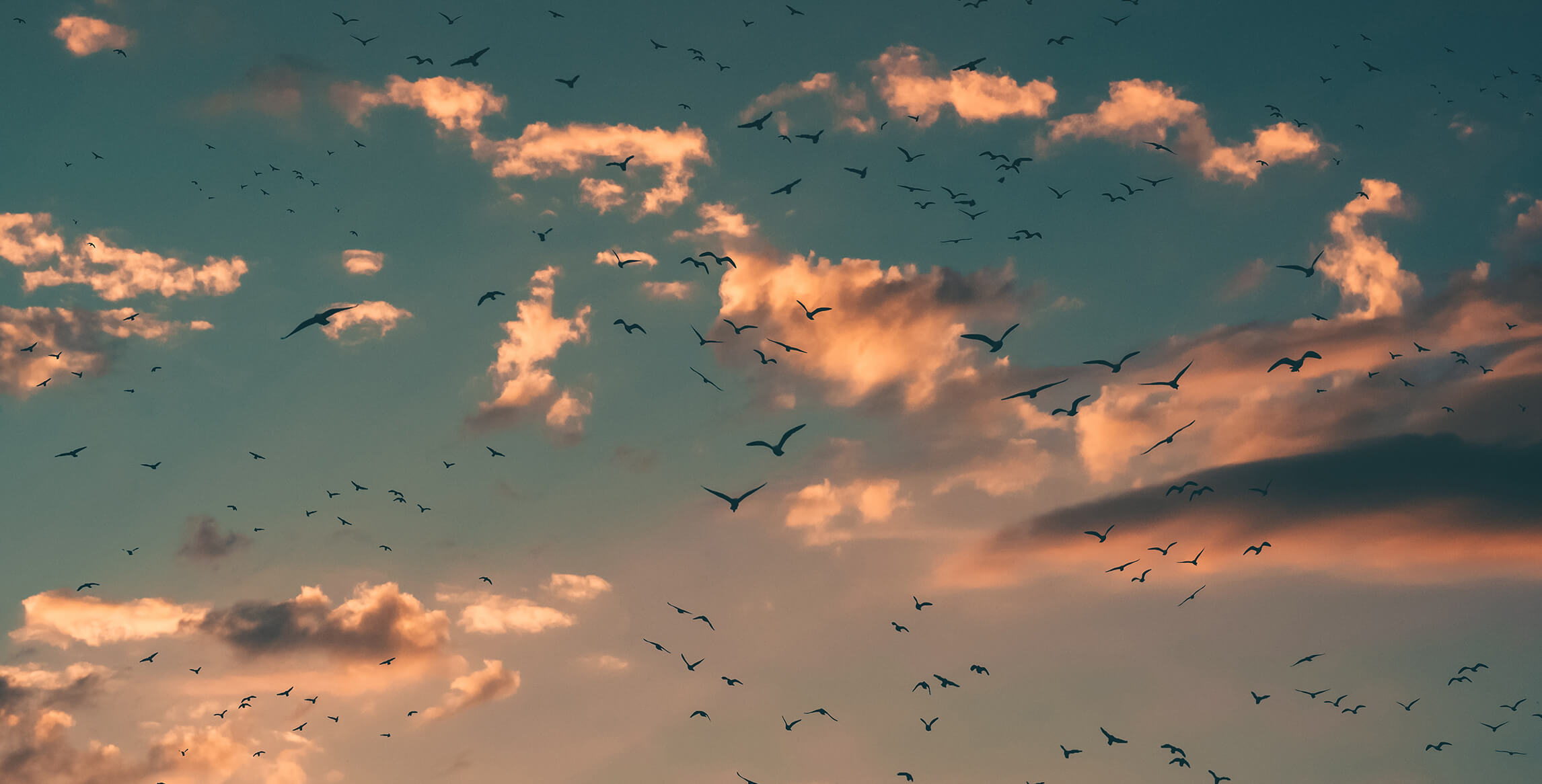 Droomduiding van terugkerende dromen - Psychologie Magazine