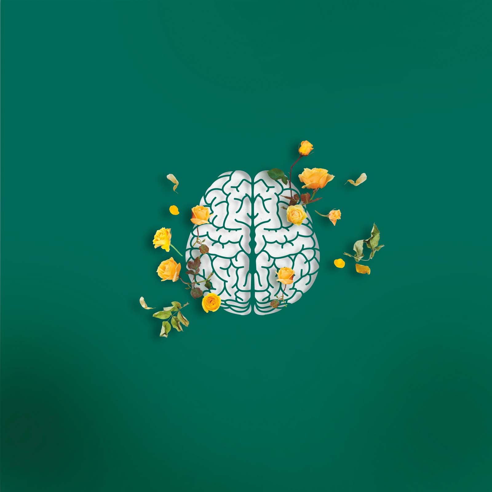 4 tips voor een gezond brein – om meteen mee te beginnen - Psychologie ...