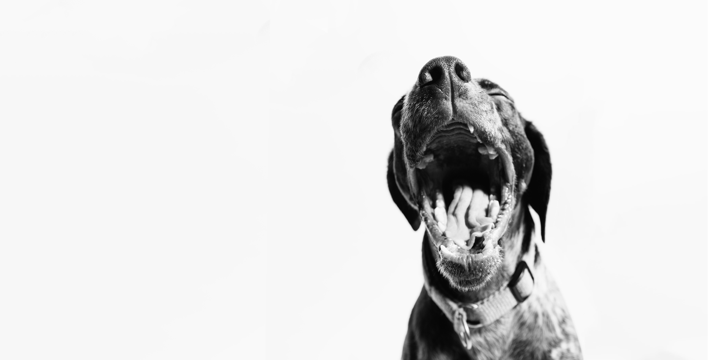 Dit zijn de 5 typen slechte slapers - Psychologie Magazine