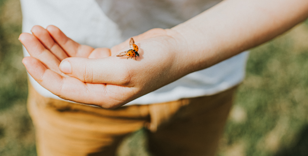 Ik ben bang voor insecten - Psychologie Magazine
