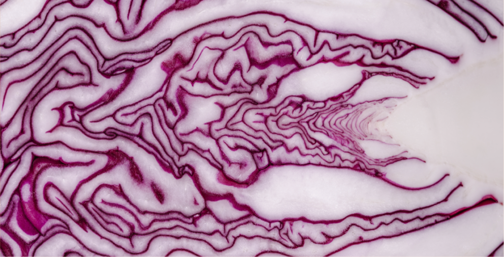 Eetgedragexpert Anne Roefs: ‘Afvallen lukt alleen met lekker eten ...